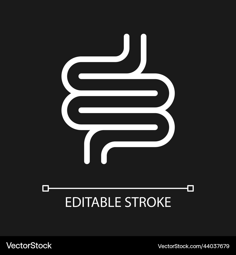 Intestine pixel perfect white linear ui icon Vector Image