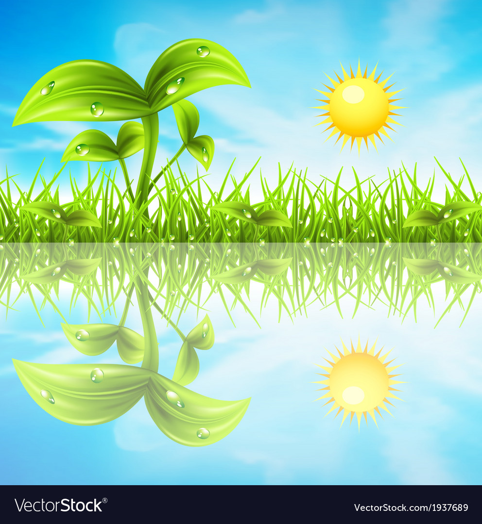 Spring Royalty Free Vector Image - VectorStock