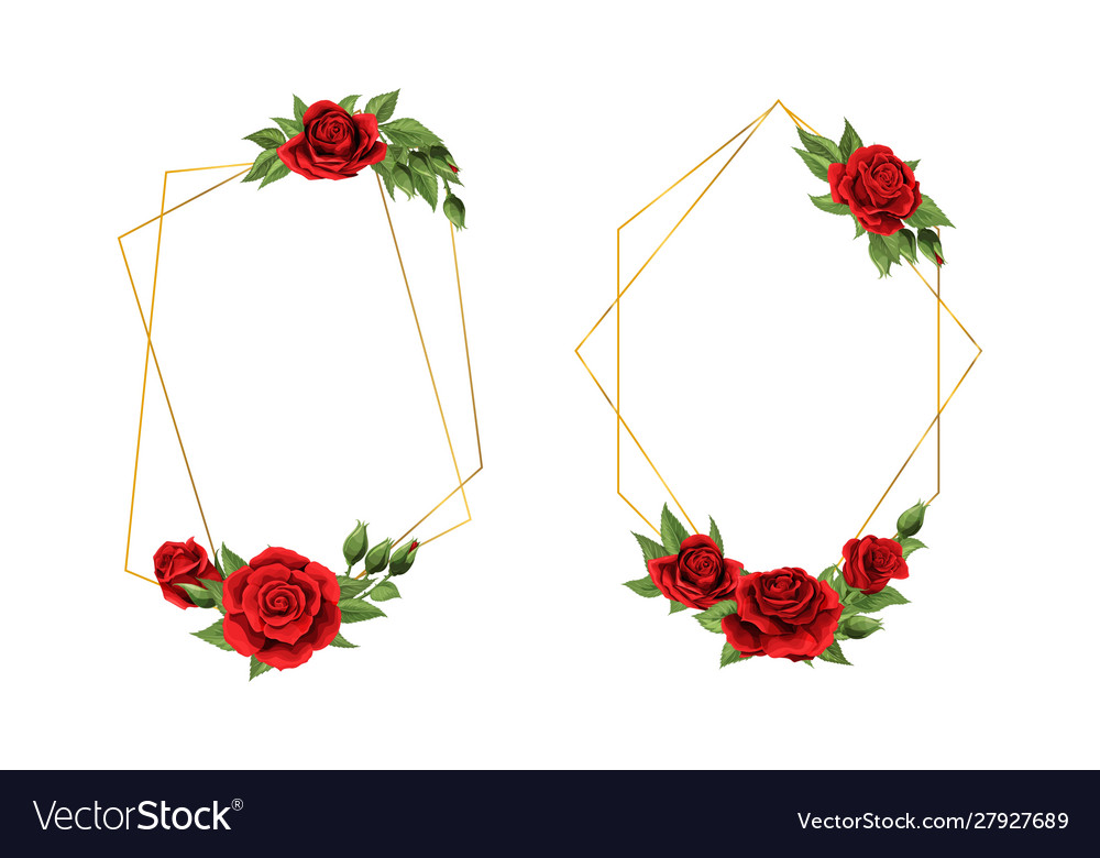 Wedding Invtation Card Design Template Red Rose Vector Image