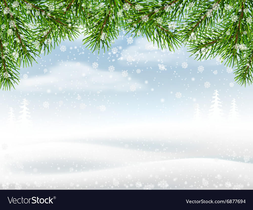 Winter background with pine branches Royalty Free Vector