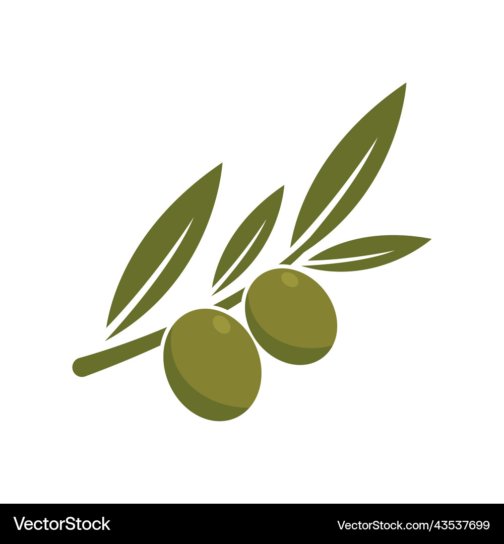 Olive Royalty Free Vector Image - VectorStock