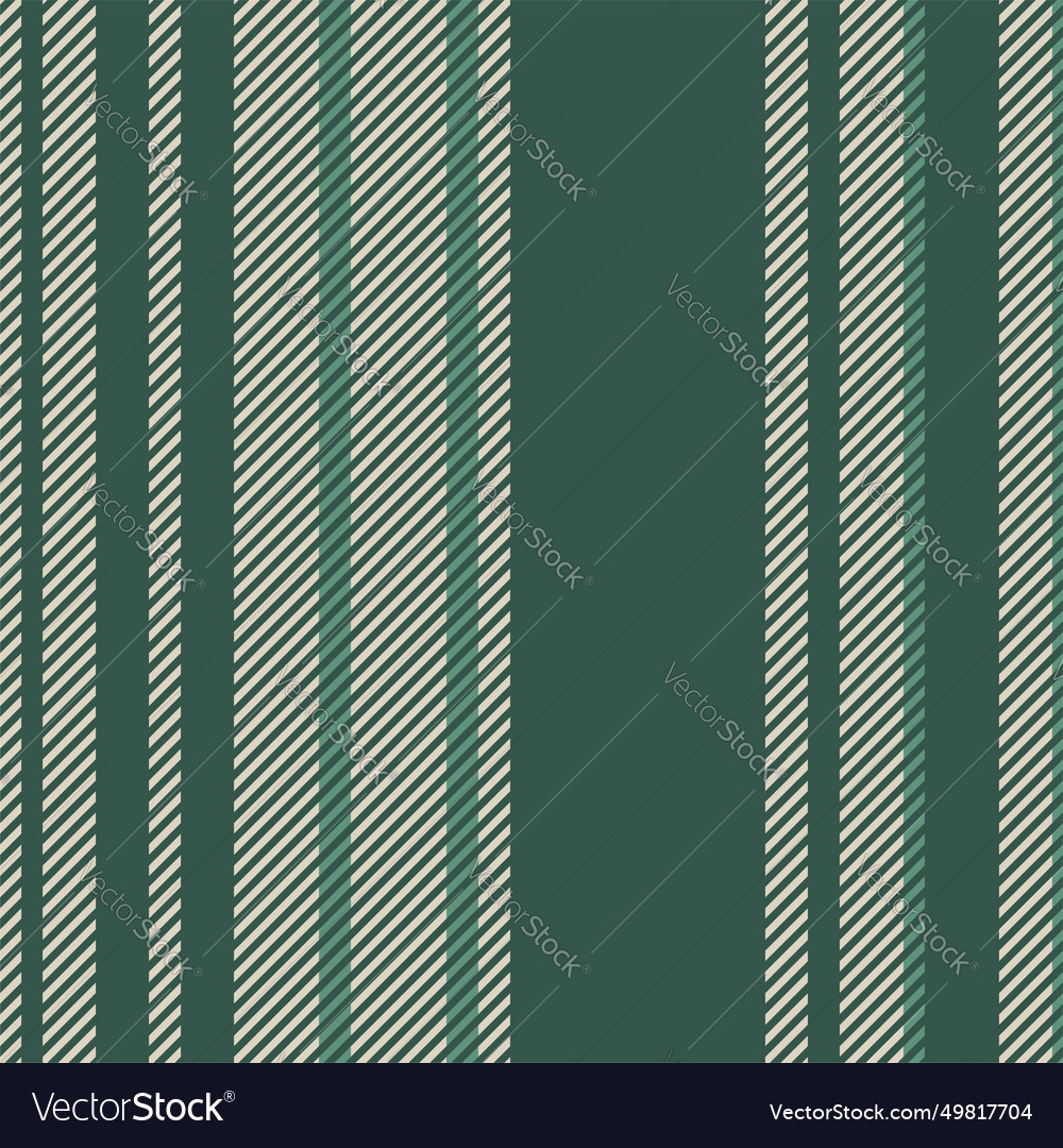 Stripes pattern background colorful stripe Vector Image