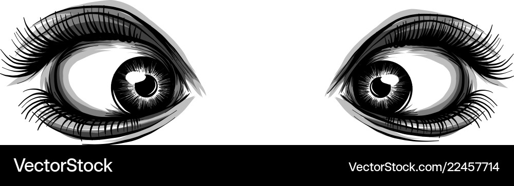Beautiful women eyes with make Royalty Free Vector Image