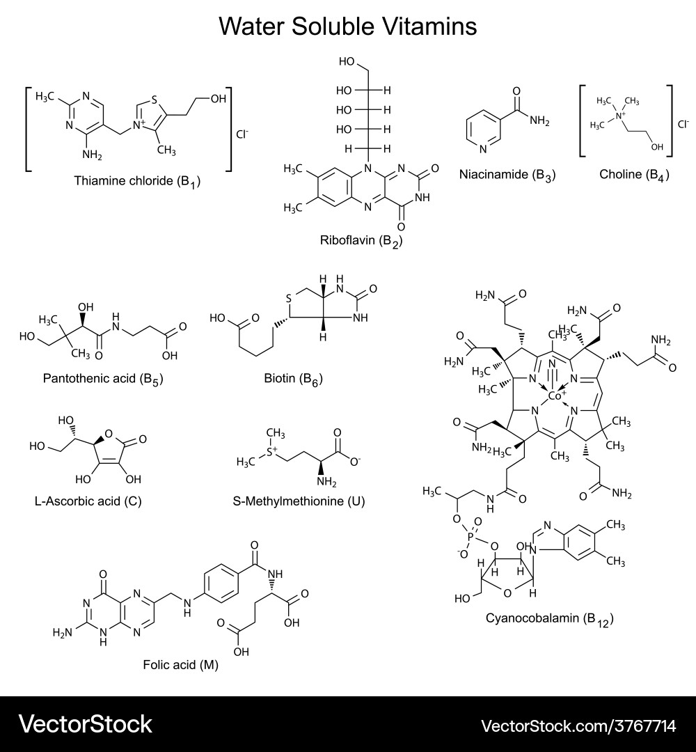 Structures formulas watersoluble vitamins Vector Image