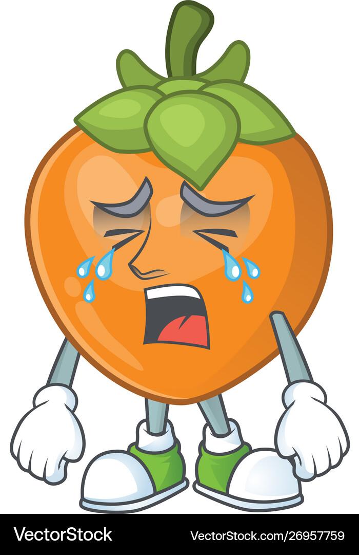 Crying persimmon fruit mascot cartoon on white Vector Image