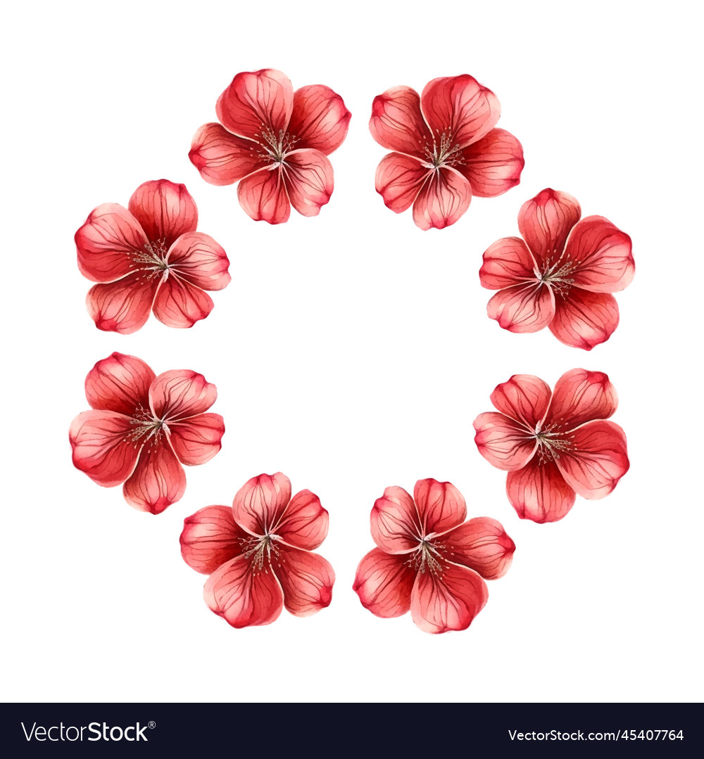 Flowers frame beautiful wreath elegant floral Vector Image Flowers frame beautiful wreath elegant floral Vector Image