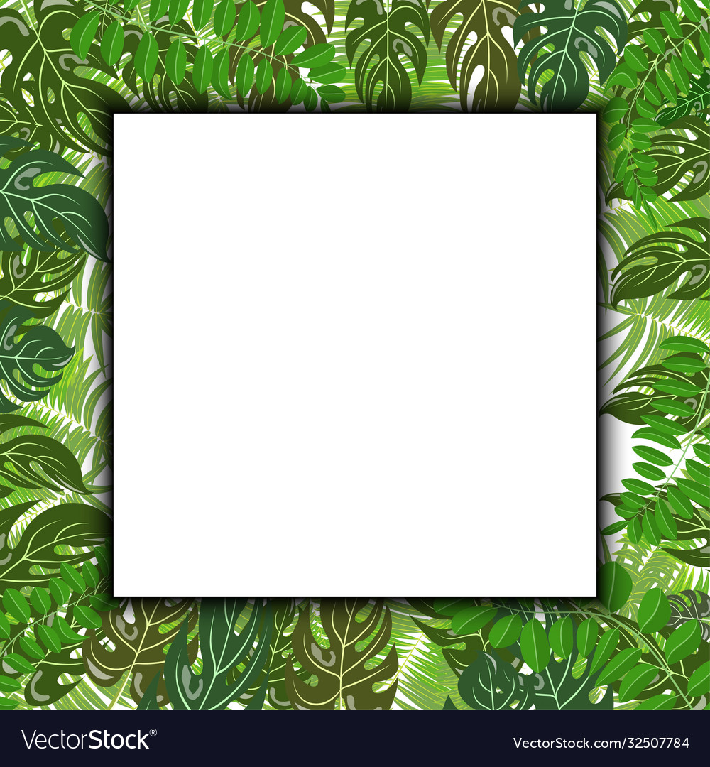 Trendy tropical leaves nature poster in a Vector Image