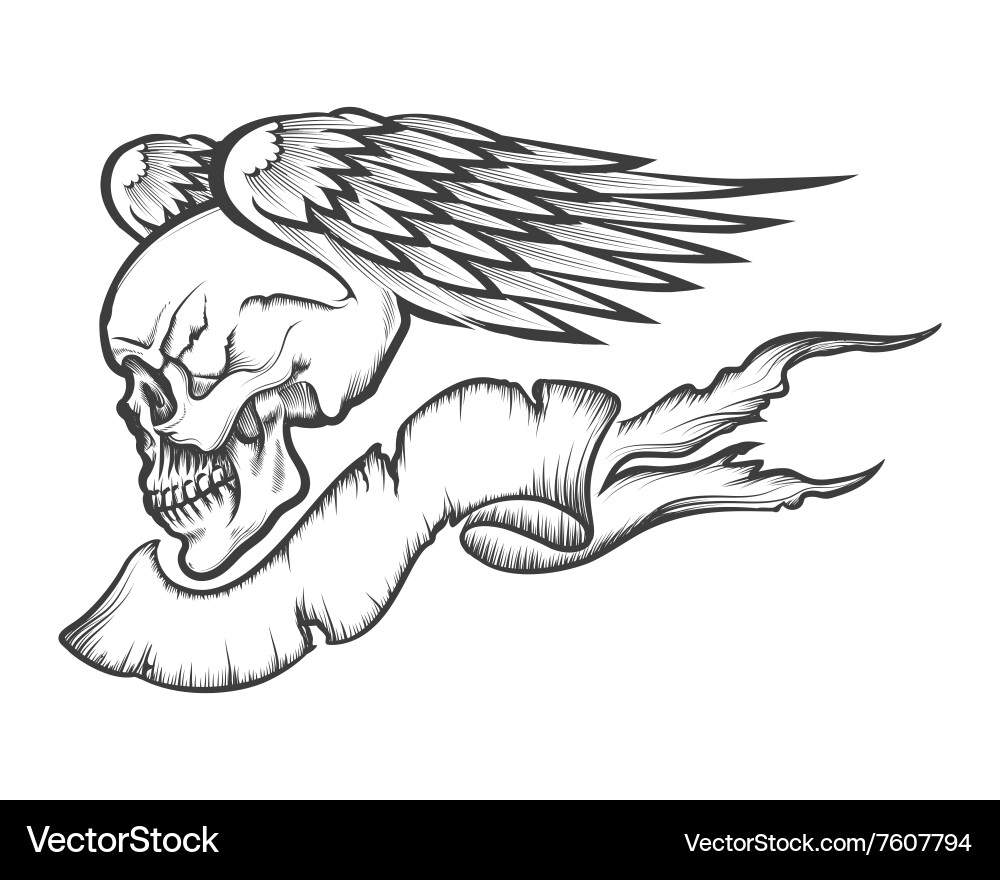 Winged skull Royalty Free Vector Image - VectorStock