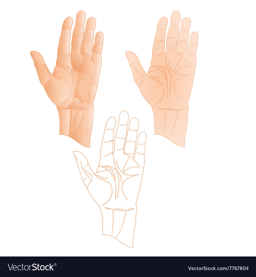 Human left hand pointer stop Royalty Free Vector Image