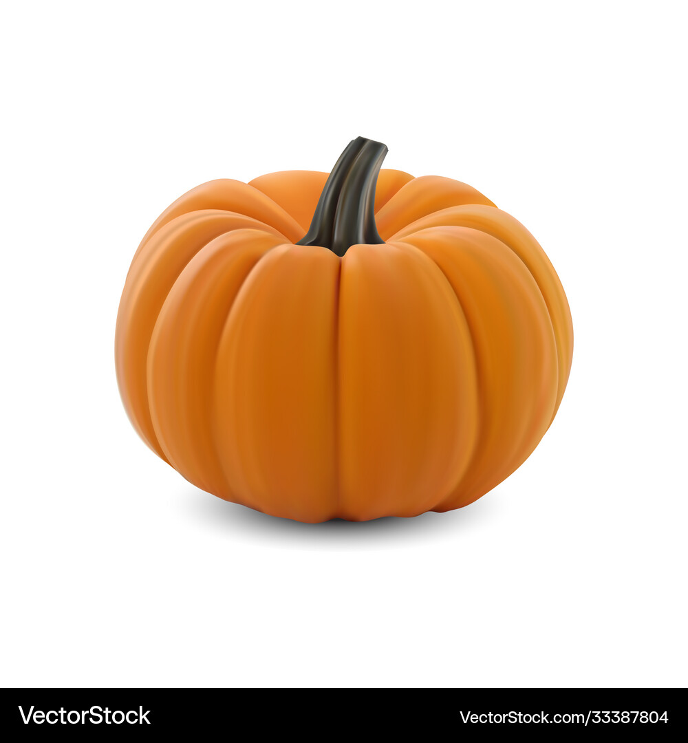 Realistic pumpkin isolated on white Royalty Free Vector