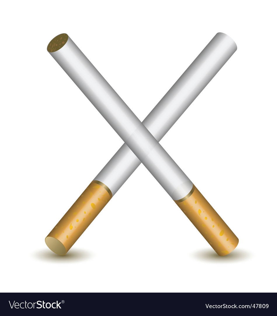 Cigarettes Royalty Free Vector Image - VectorStock