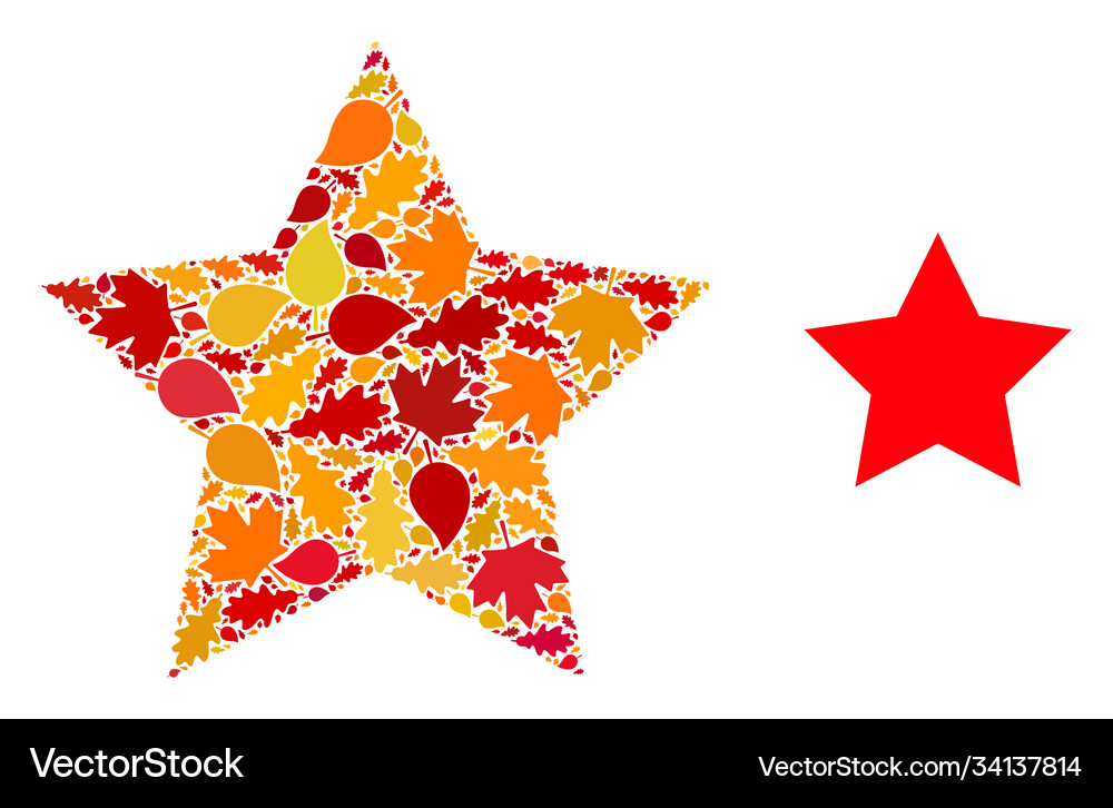 Star autumn composition icon with fall leaves Vector Image