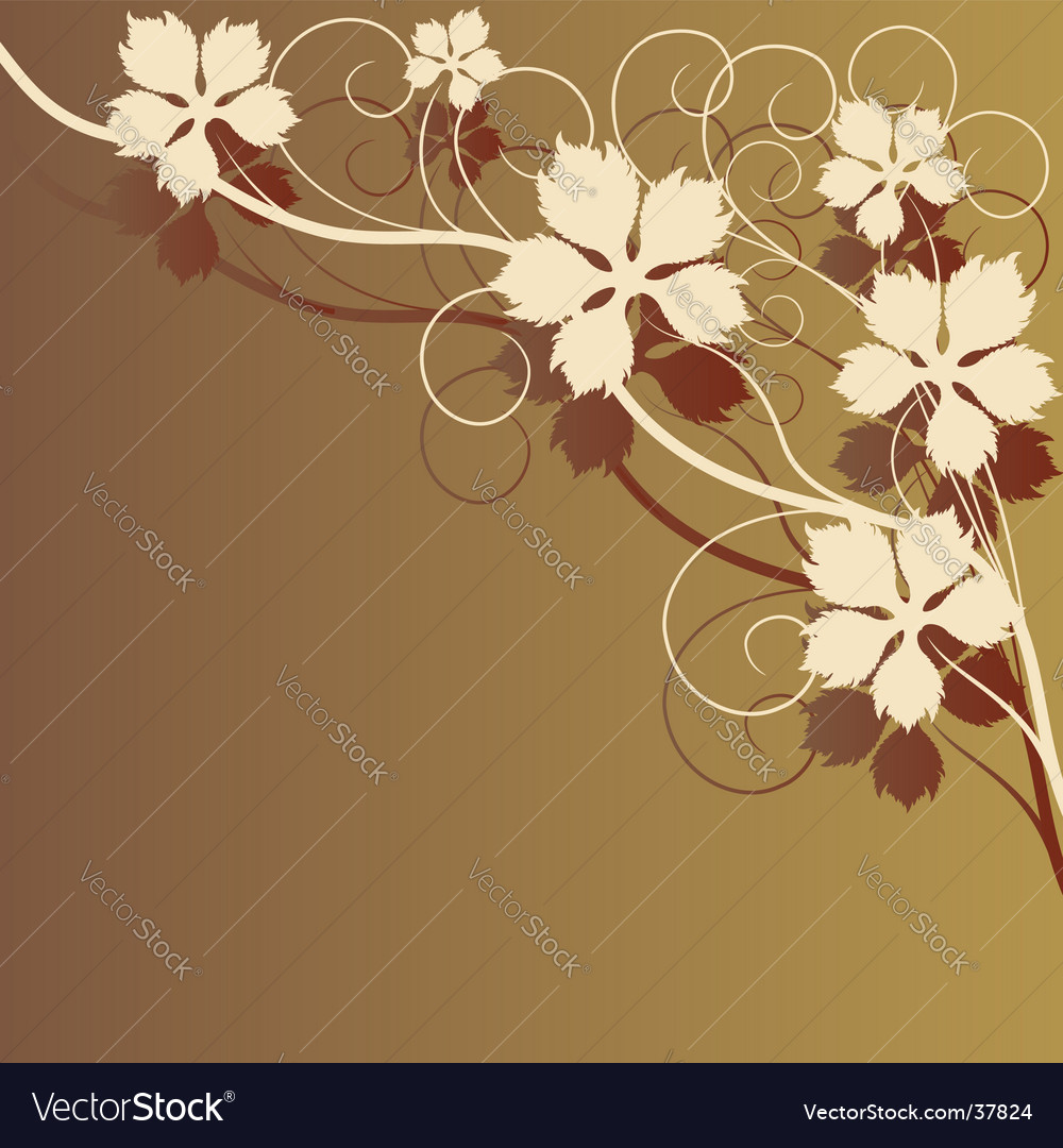 Grapevine Royalty Free Vector Image - VectorStock