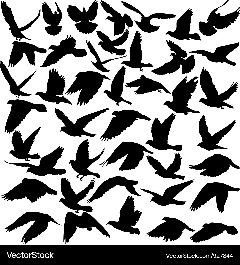Dove Royalty Free Vector Image - VectorStock