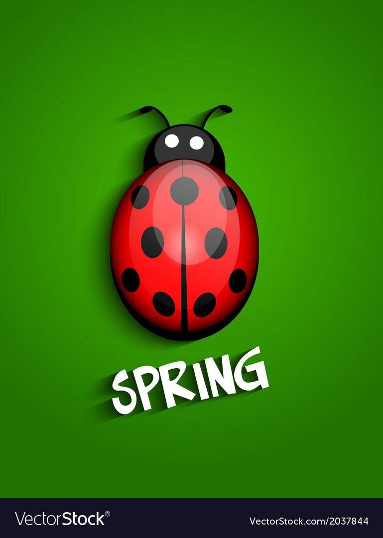 Ladybug Royalty Free Vector Image - VectorStock