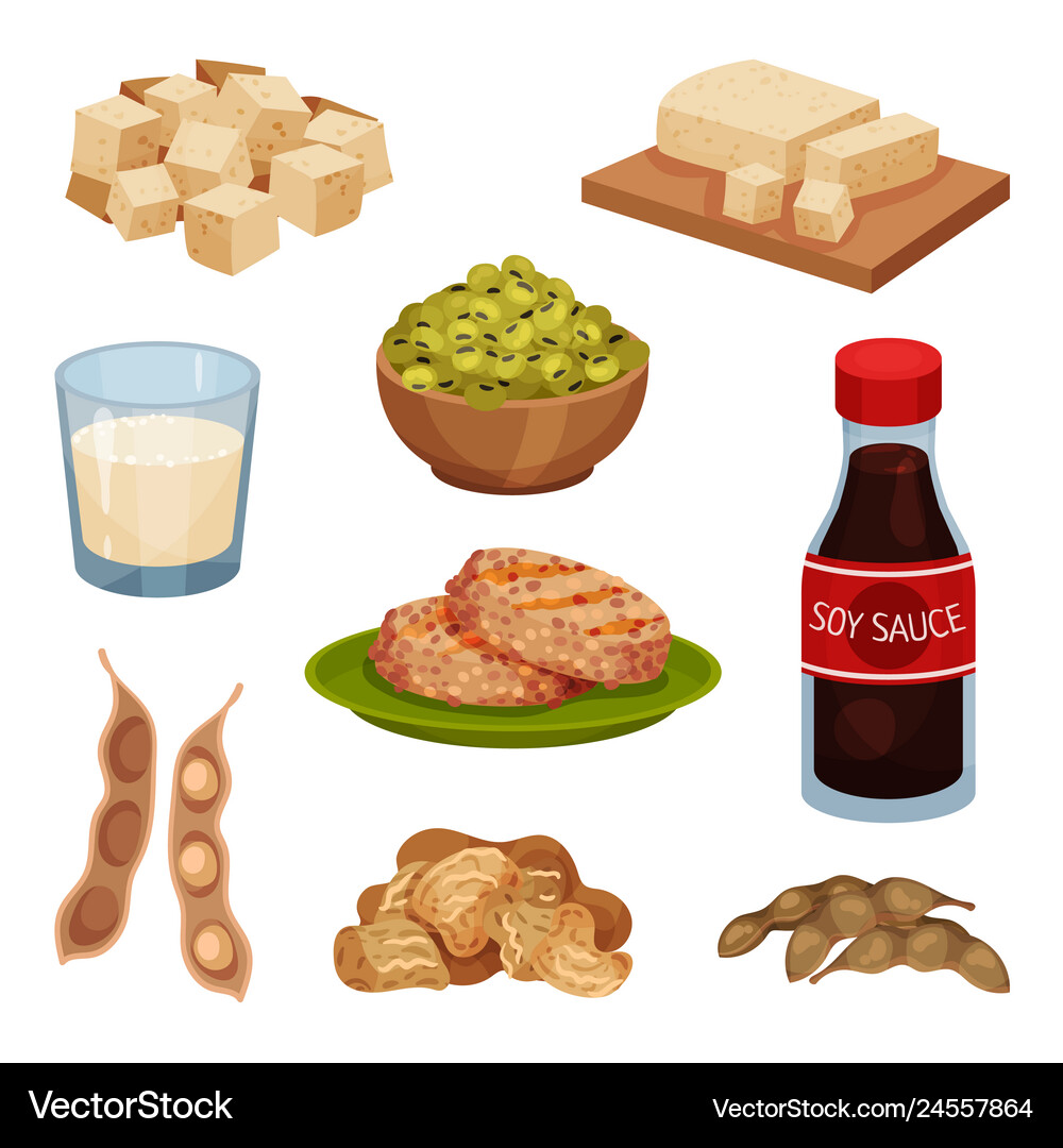 Collection soy products on white background Vector Image