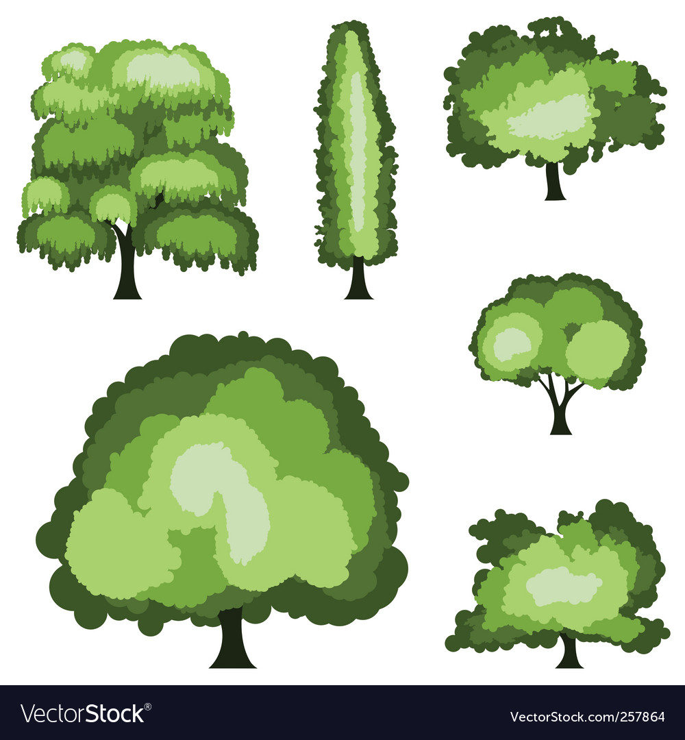 Tree designs Royalty Free Vector Image - VectorStock