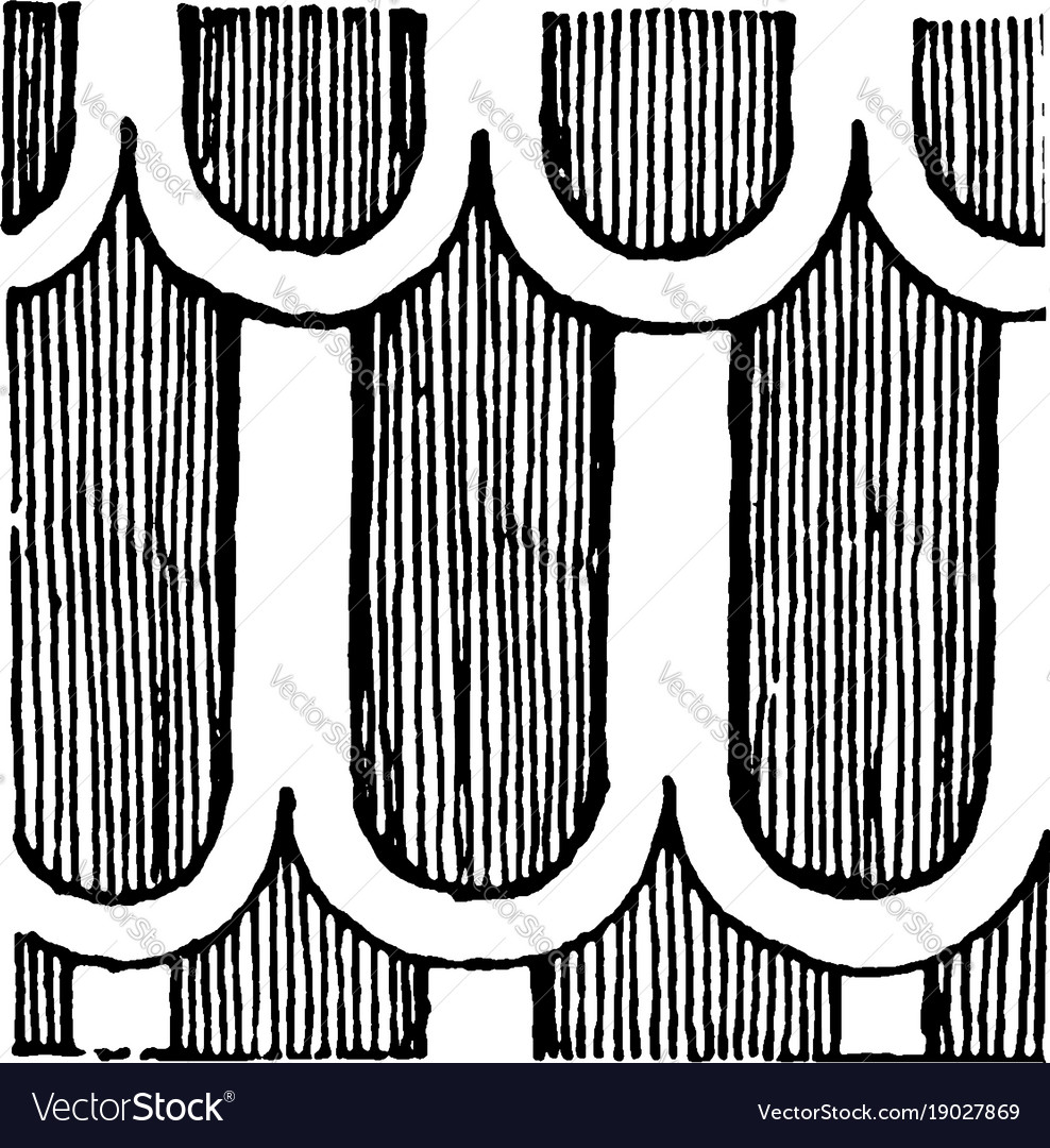 Assyrian Ornament Is A Scale Motive Vintage Vector Image