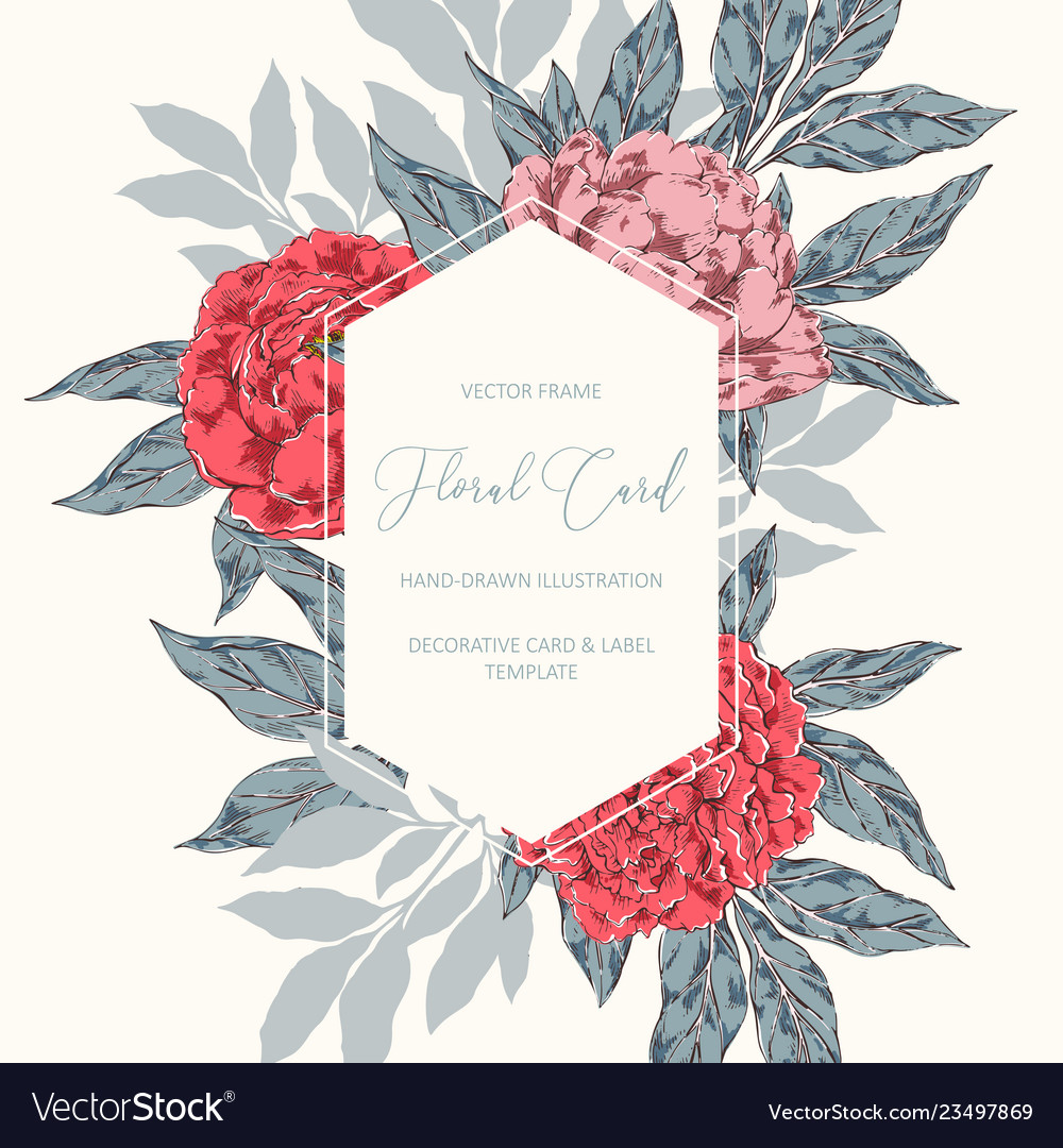 Peony hand drawn frame Royalty Free Vector Image Peony hand drawn frame Royalty Free Vector Image
