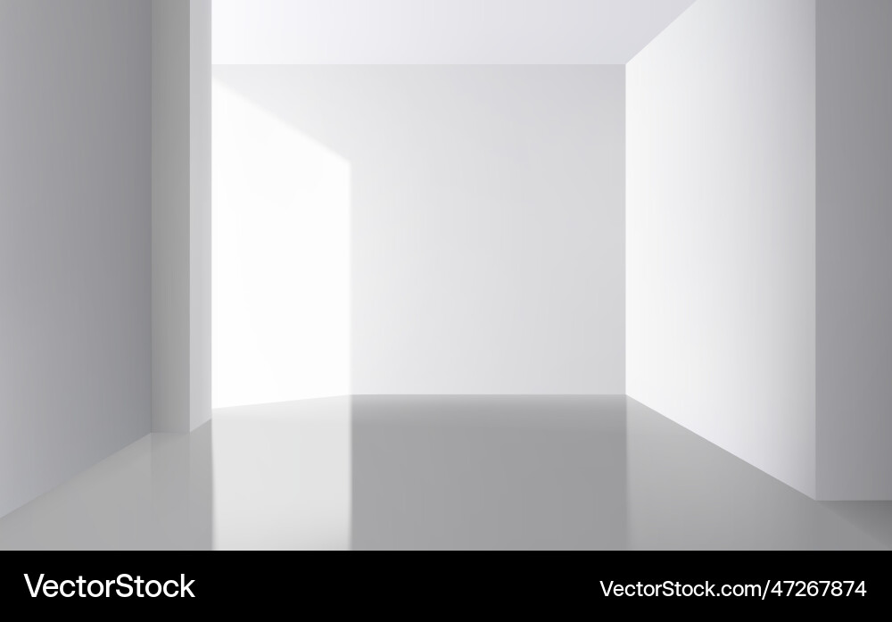 3d white background studio scene minimal Vector Image