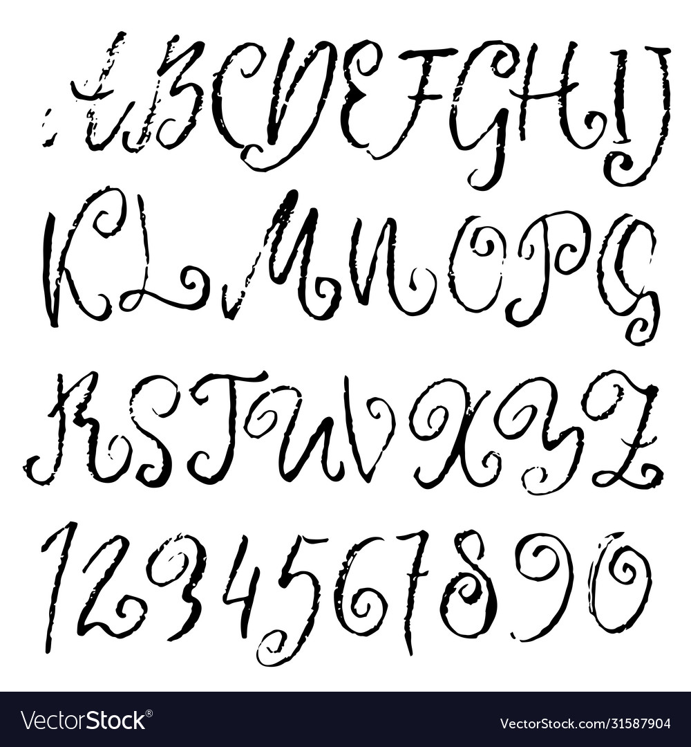 Hand drawn curly display font made dry brush Vector Image