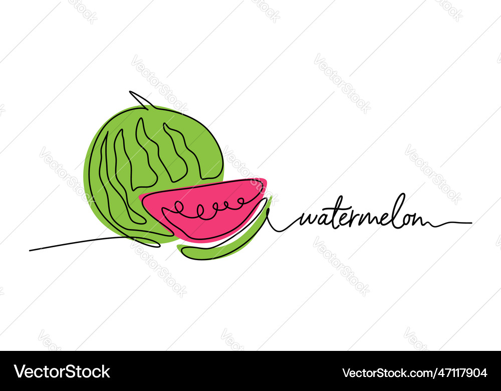 Watermelon continuous one line drawing fruit Vector Image