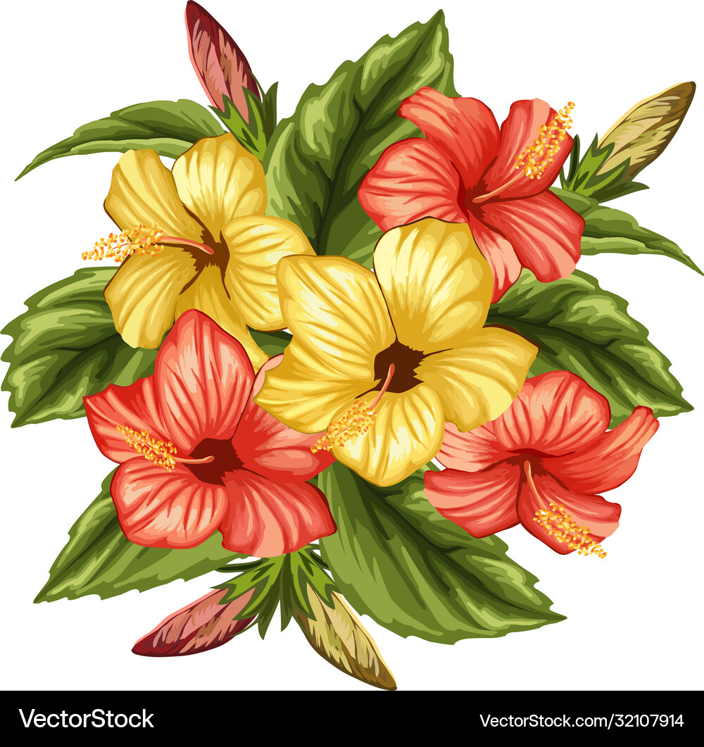 Bouquet colored chinese roses Royalty Free Vector Image