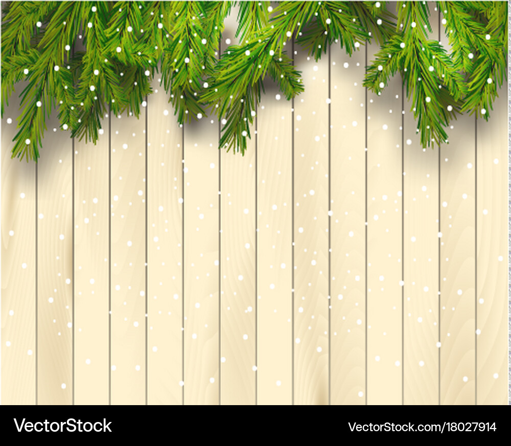 Christmas tree branches on light wooden background