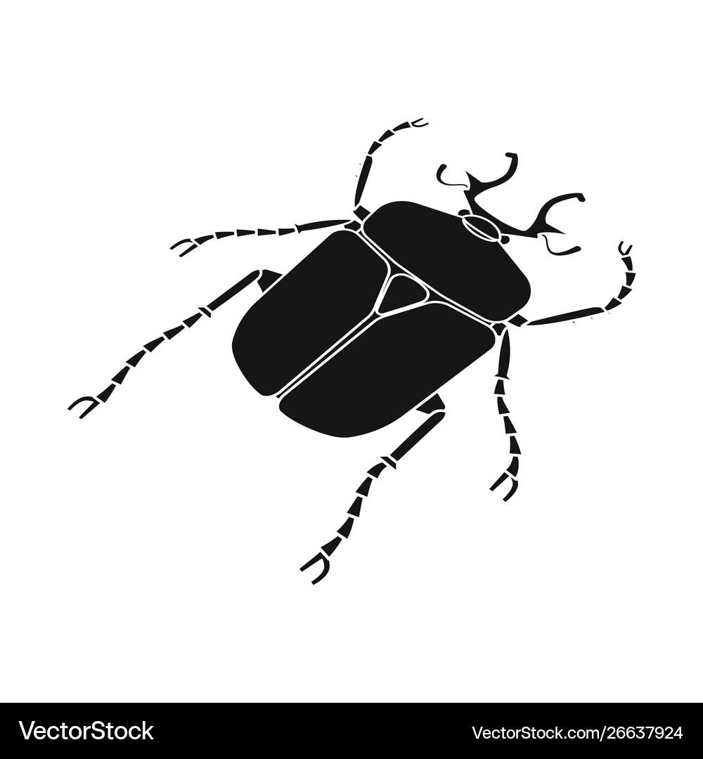 Beetle and bug icon Royalty Free Vector Image - VectorStock