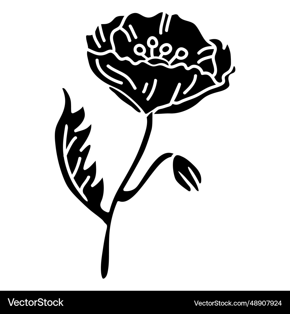 Long stemmed poppy flower Royalty Free Vector Image