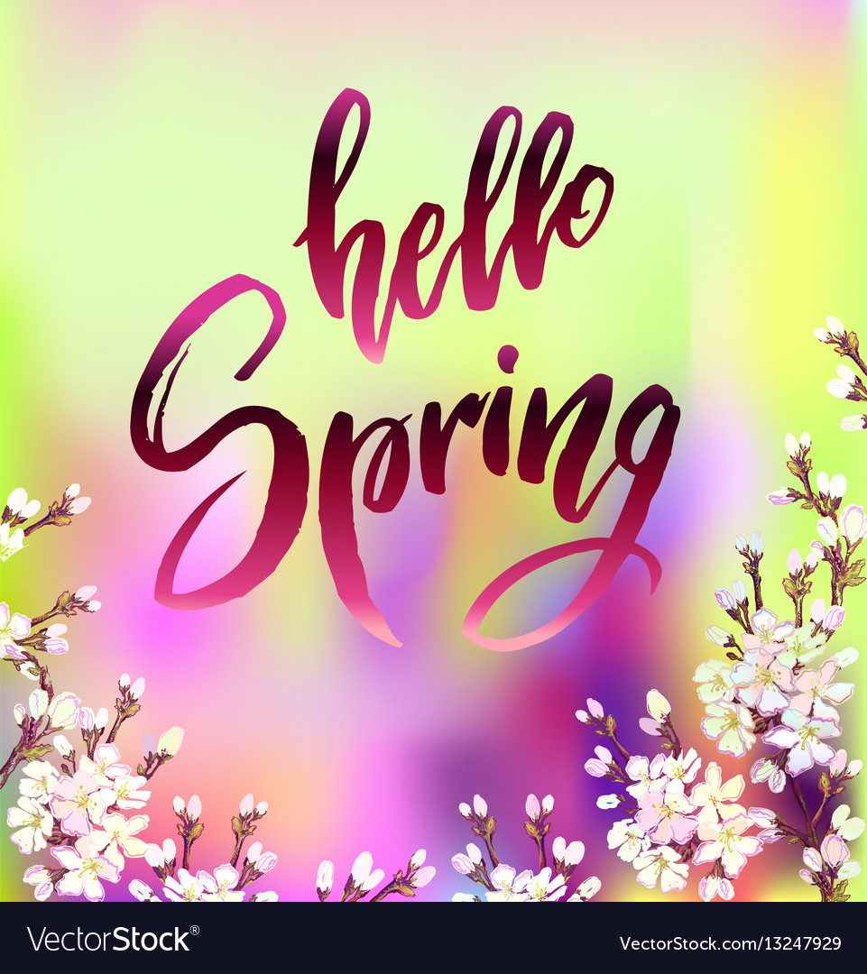 Hello spring quote Royalty Free Vector Image - VectorStock