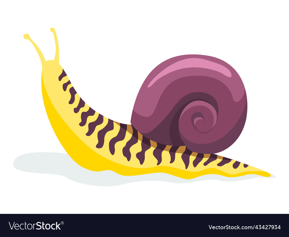 Snail crawling snailfish colour shell colourful Vector Image Snail crawling snailfish colour shell colourful Vector Image