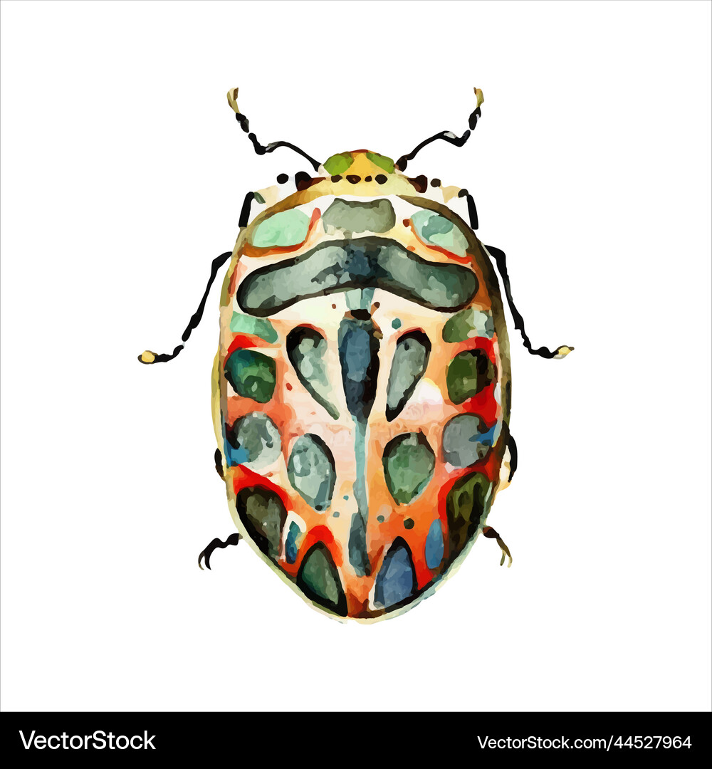 Green watercolor beetle Royalty Free Vector Image