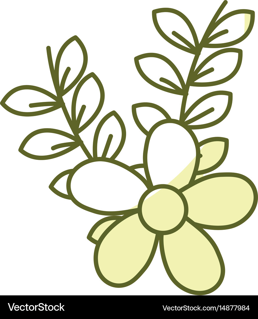 Beautiful flower decoration icon Royalty Free Vector Image