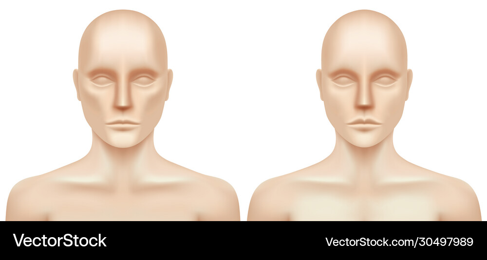 Man and woman upper body Royalty Free Vector Image