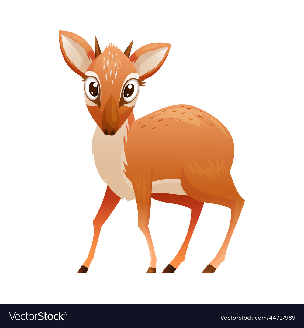 Standing brown dik-dik as african small antelope Vector Image