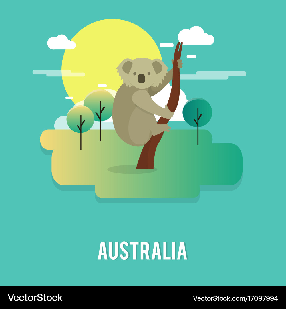 Cute koala native animal in australia design Vector Image