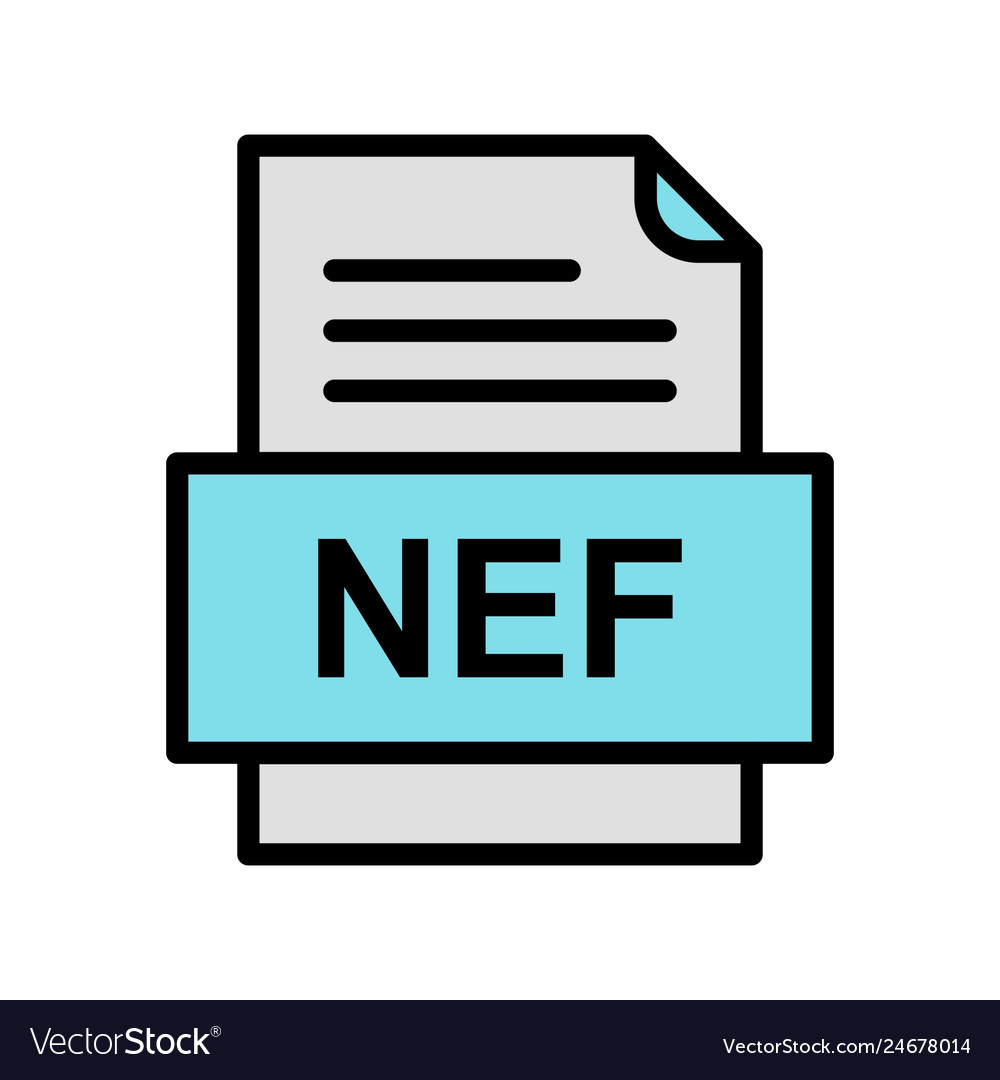 Nef file document icon Royalty Free Vector Image