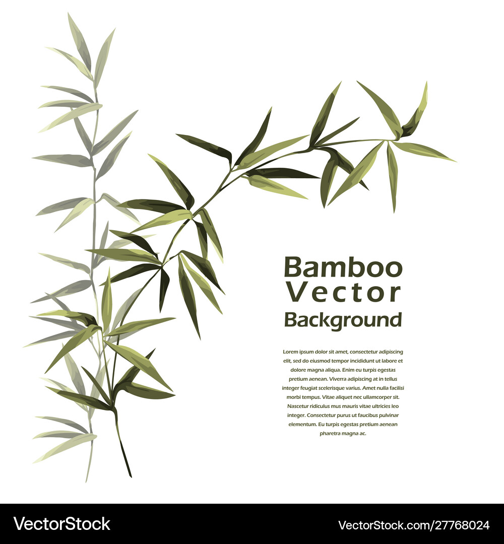 Bamboo template with text place exotic Royalty Free Vector