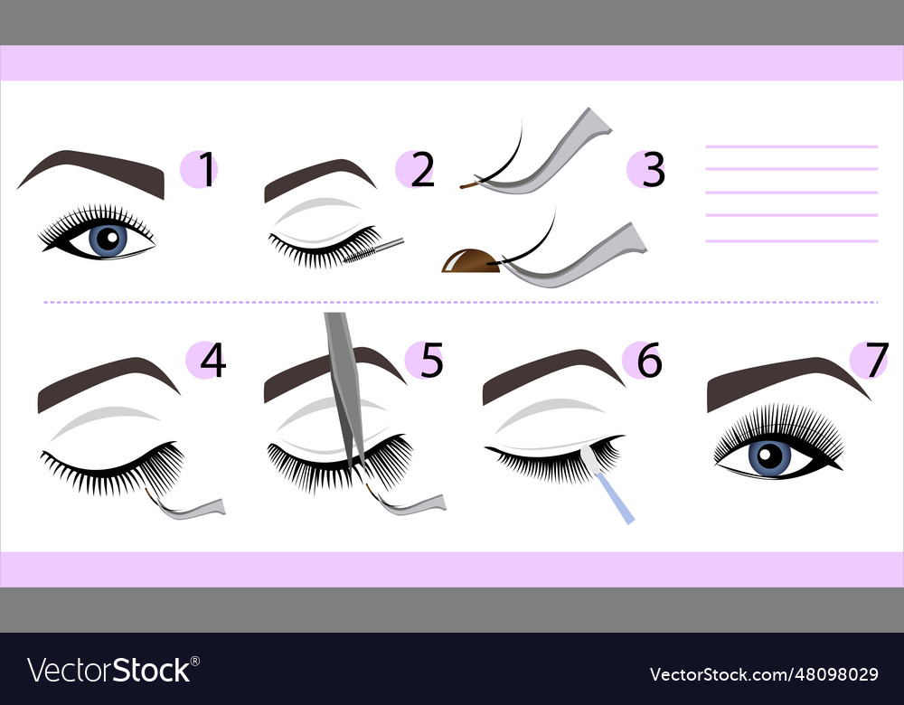 Eyelash extension infographics step by guide Vector Image Eyelash extension infographics step by guide Vector Image