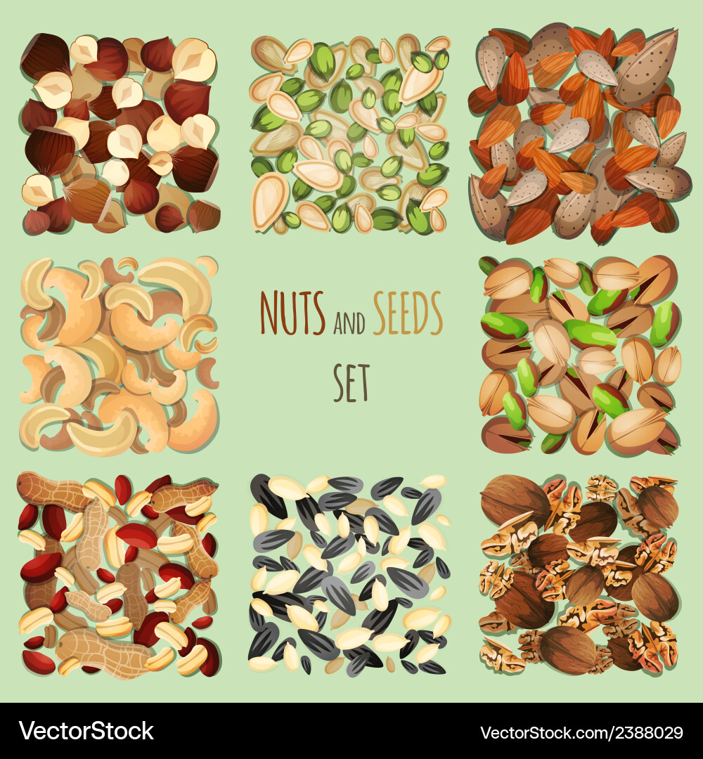 Nuts and seeds set Royalty Free Vector Image - VectorStock