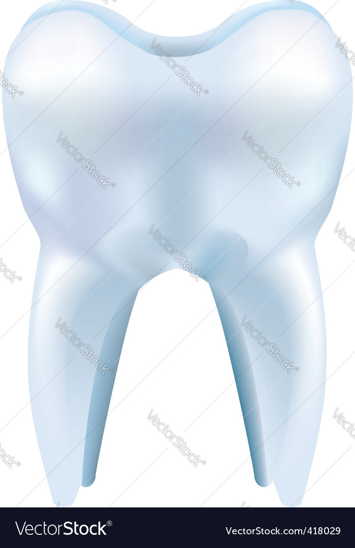 Tooth Royalty Free Vector Image - VectorStock