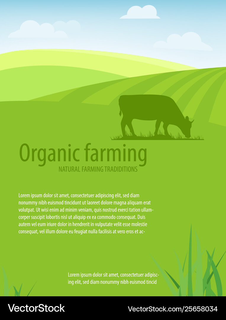 Rural Farm Landscape Template Royalty Free Vector Image