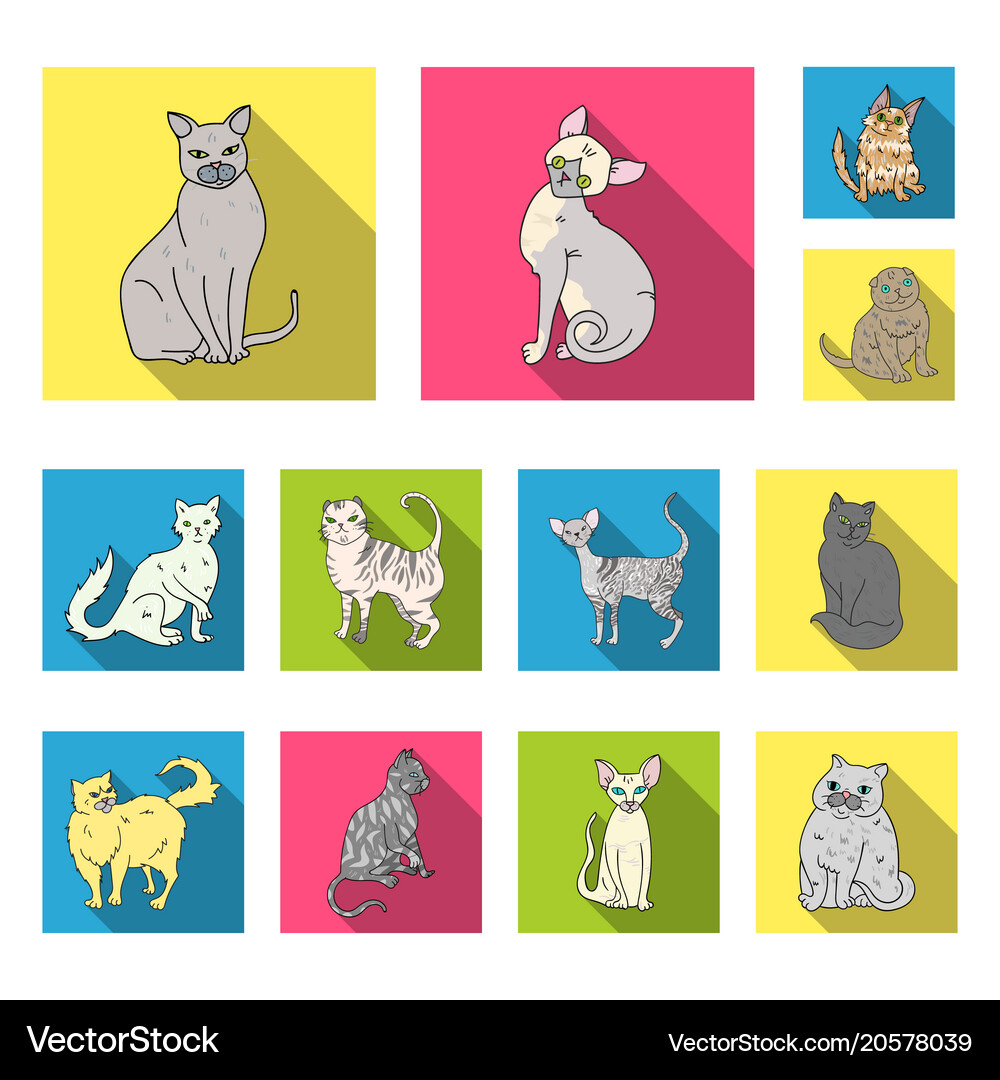 Breeds cats flat icons in set collection Vector Image