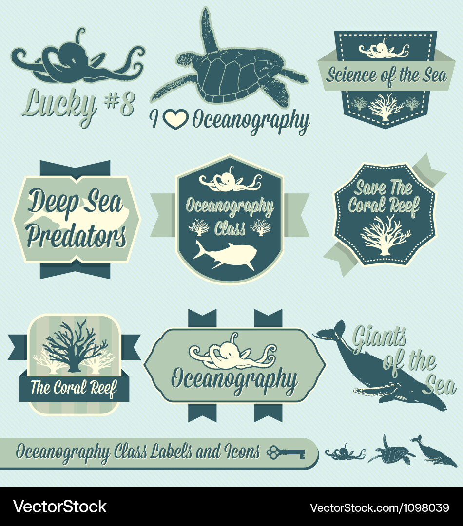 Oceanography class labels Royalty Free Vector Image
