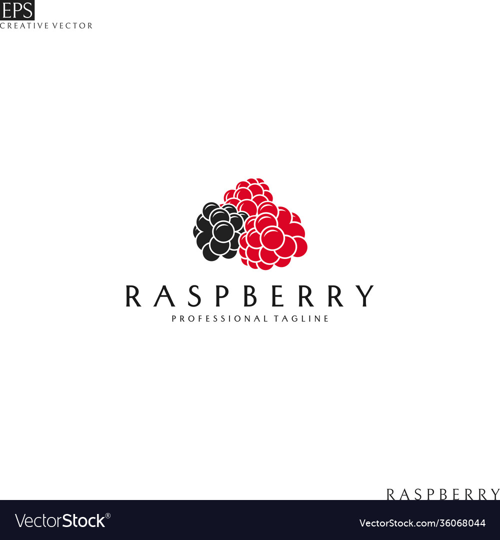 Raspberry logo template Royalty Free Vector Image