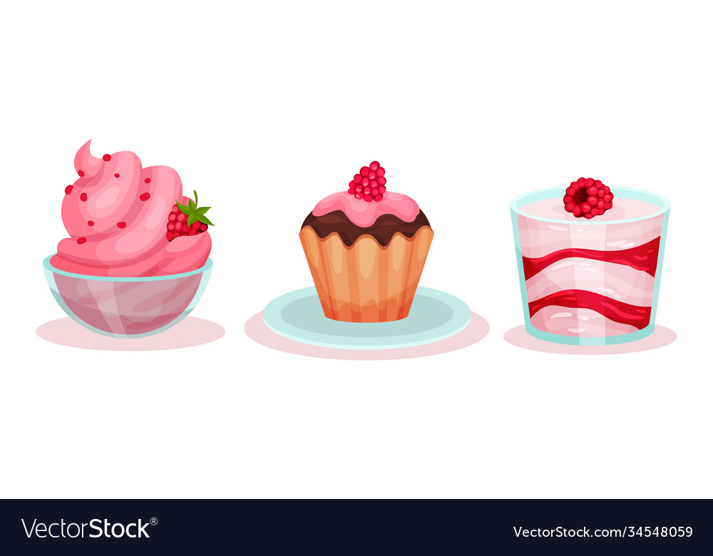 Raspberry dessert with ice cream in bowl Vector Image