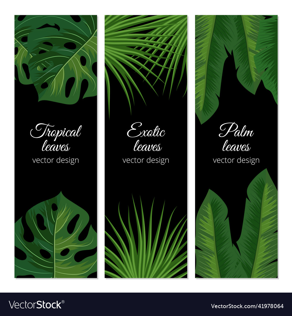 Tropical exotic leaves banners template set Vector Image