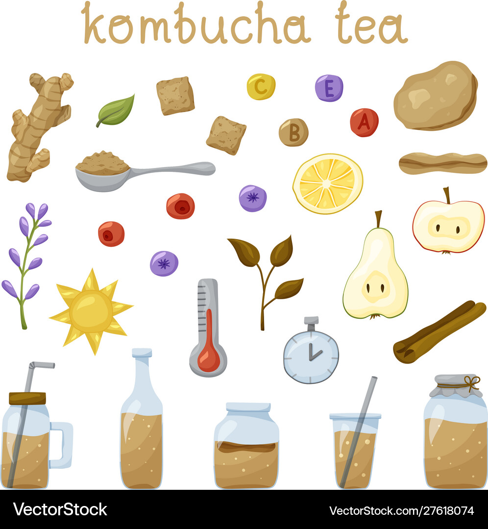Kombucha tea flat hand drawn set Royalty Free Vector Image