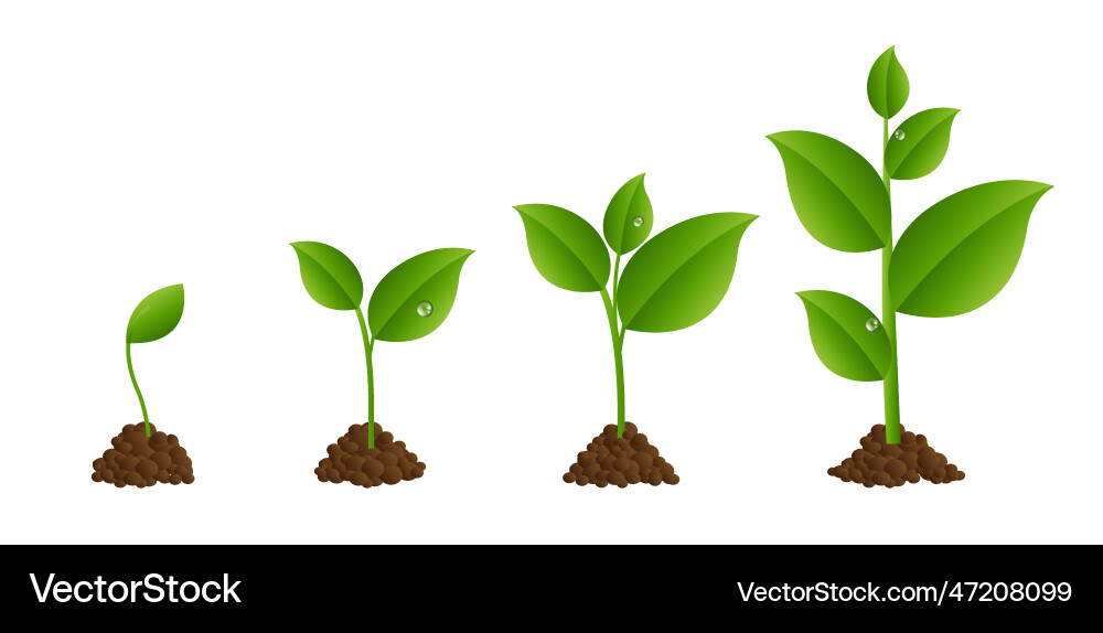 Green sprout set isolated white background Vector Image